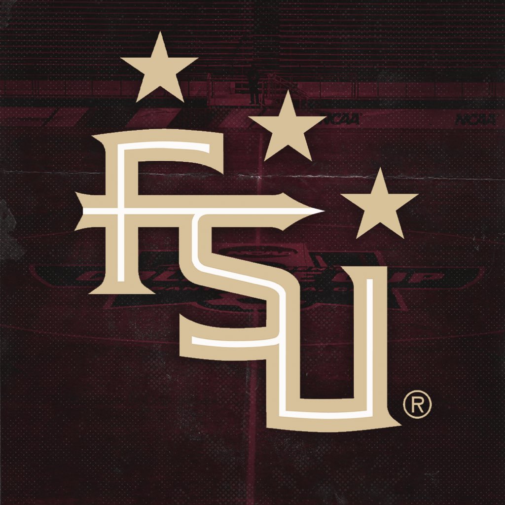 Fsu Logo Wallpaper