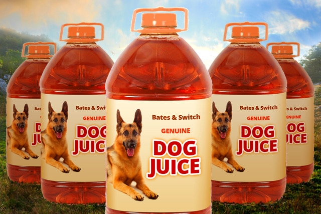 Can You Give A Dog Juice