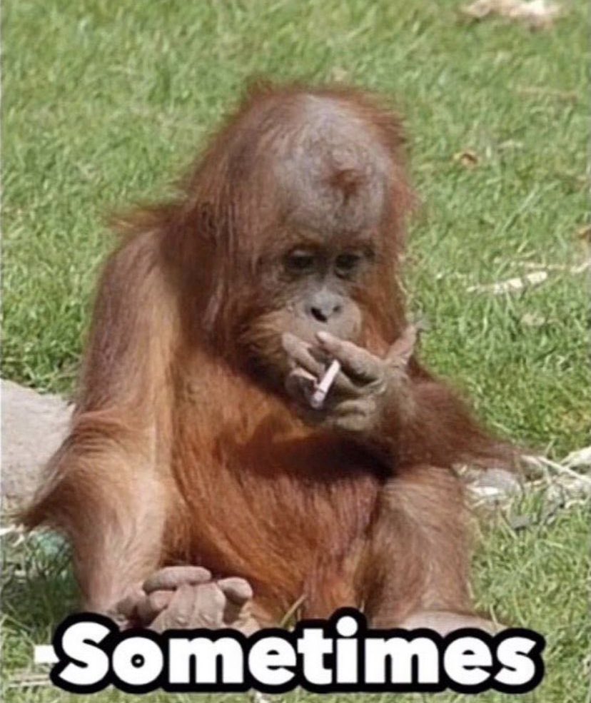 Funny Pic Of Baby Smoking