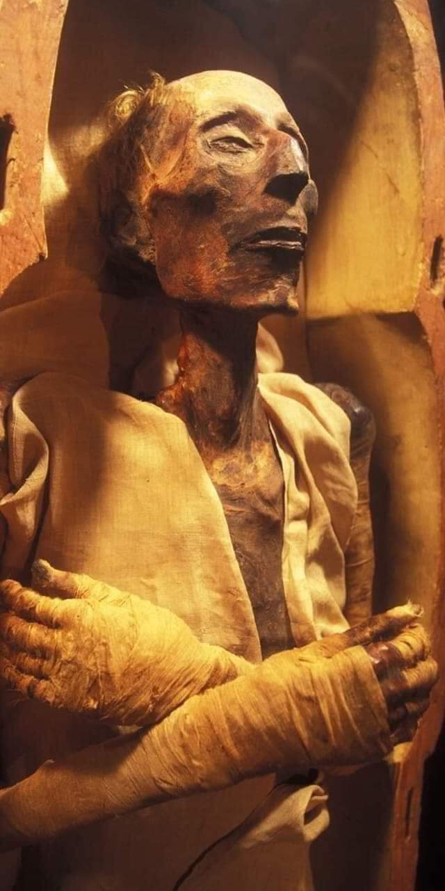 King Ramses Ii Mummy