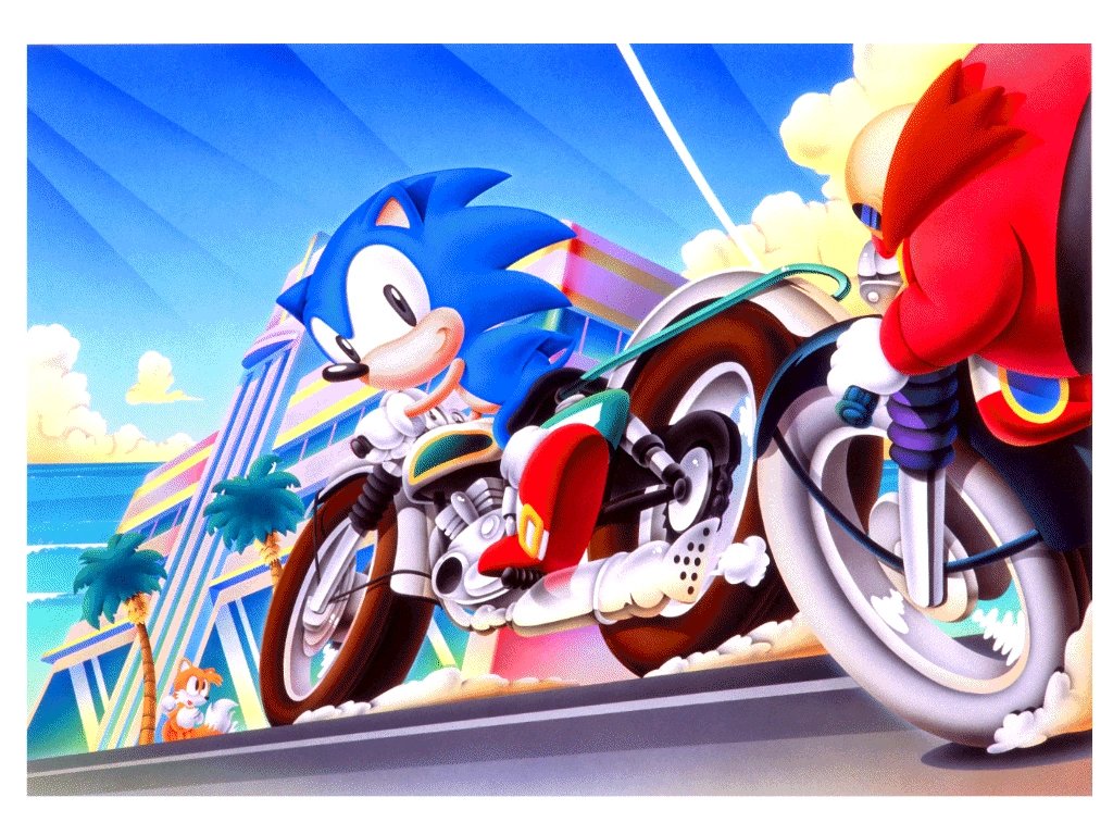 Shadow The Hedgehog On His Motorcycle