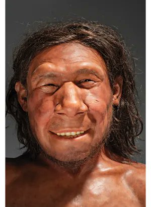 Neanderthal Face Reconstruction