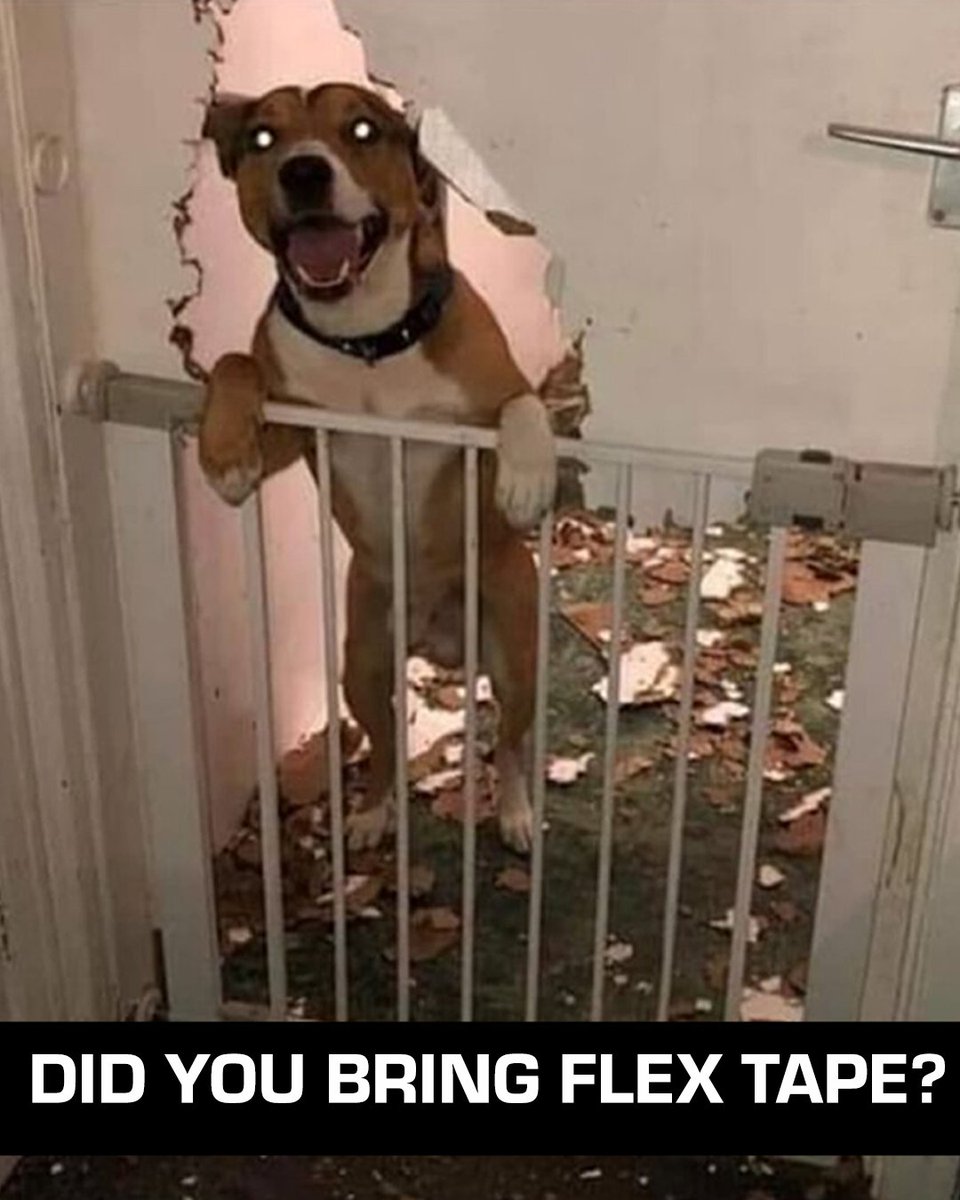 Flex World (@ItsFlexWorld) | Twitter