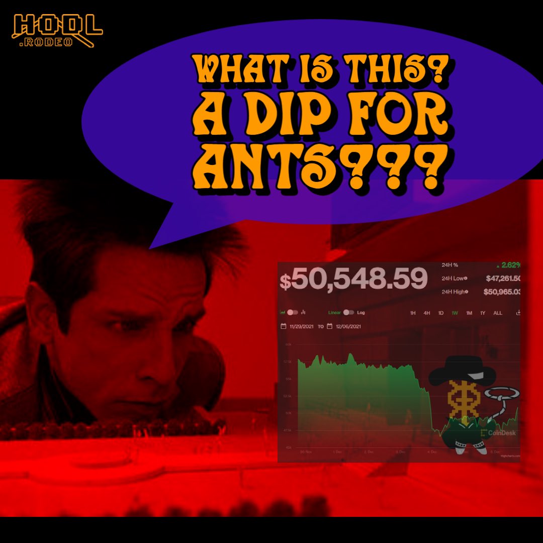 HODL.Rodeo 🌽/21m (@HodlRodeo) | Twitter