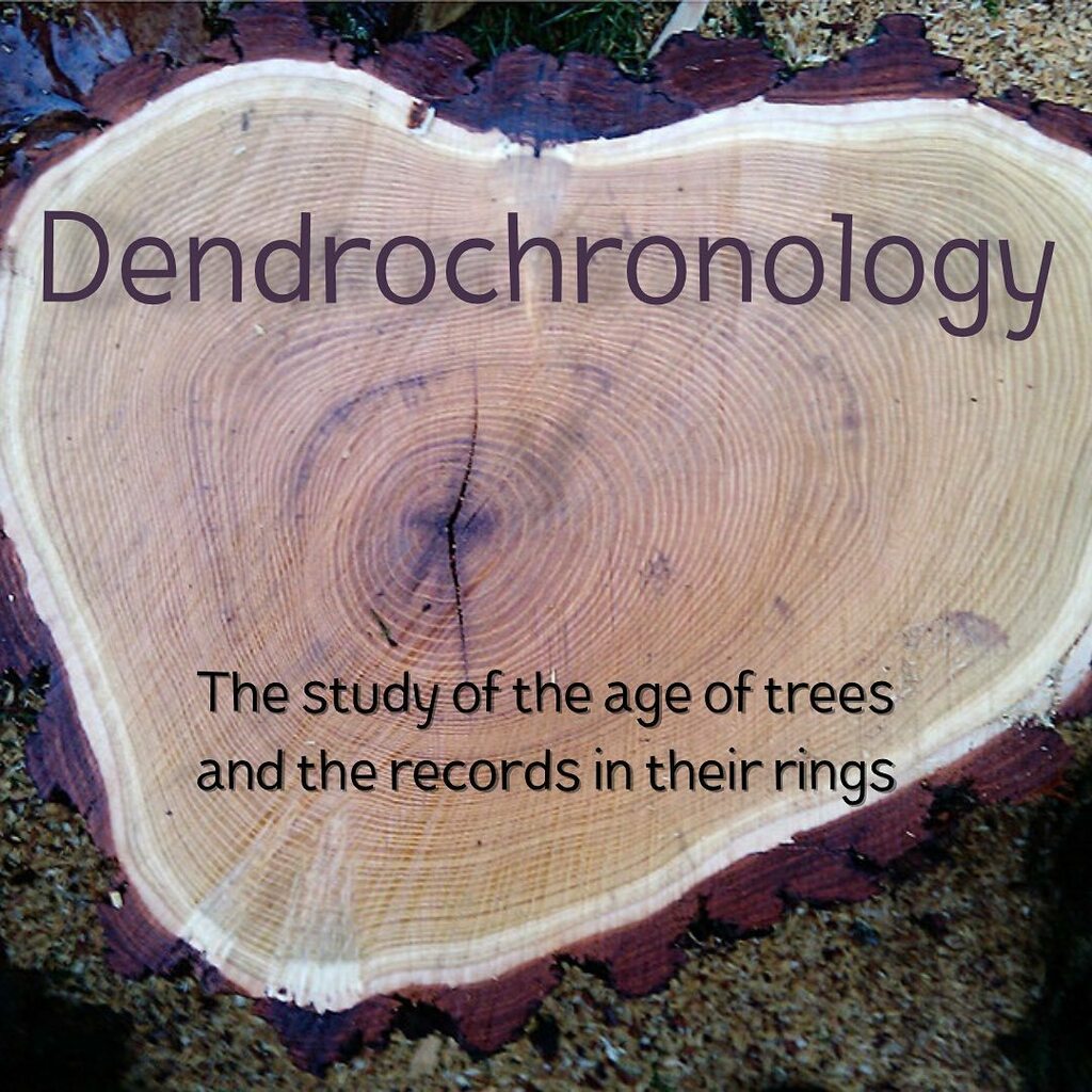 Tree Rings Dating