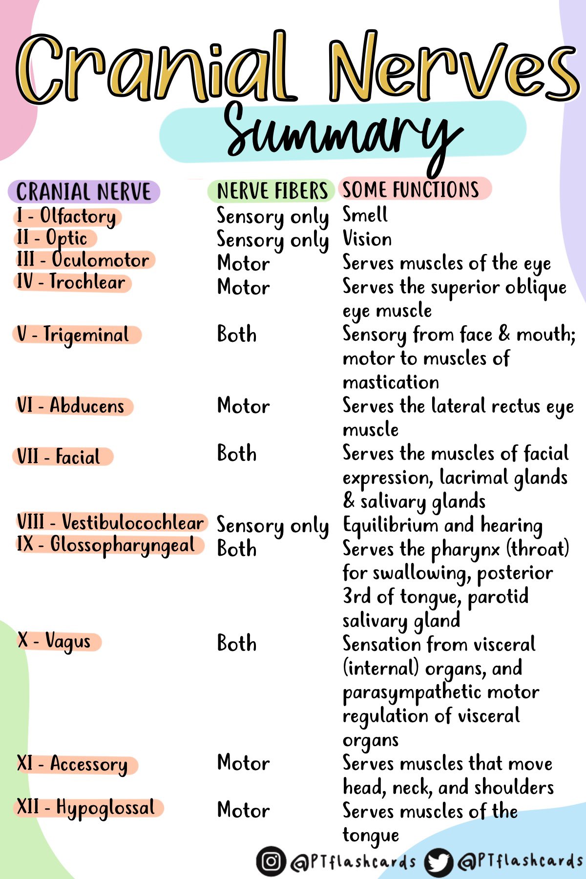 Cranial Nerves Mnemonic: Function, Labeled Names In Order,, 58% OFF Cranial Nerves Mnemonic: Function, Labeled Names In Order,, 58% OFF