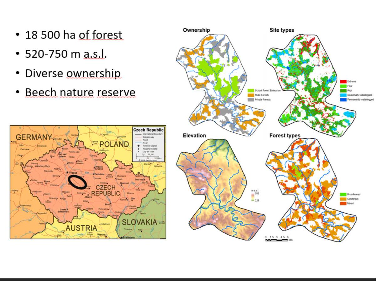 Marco Baldo (@MarcoBaldoRoma) | Twitter