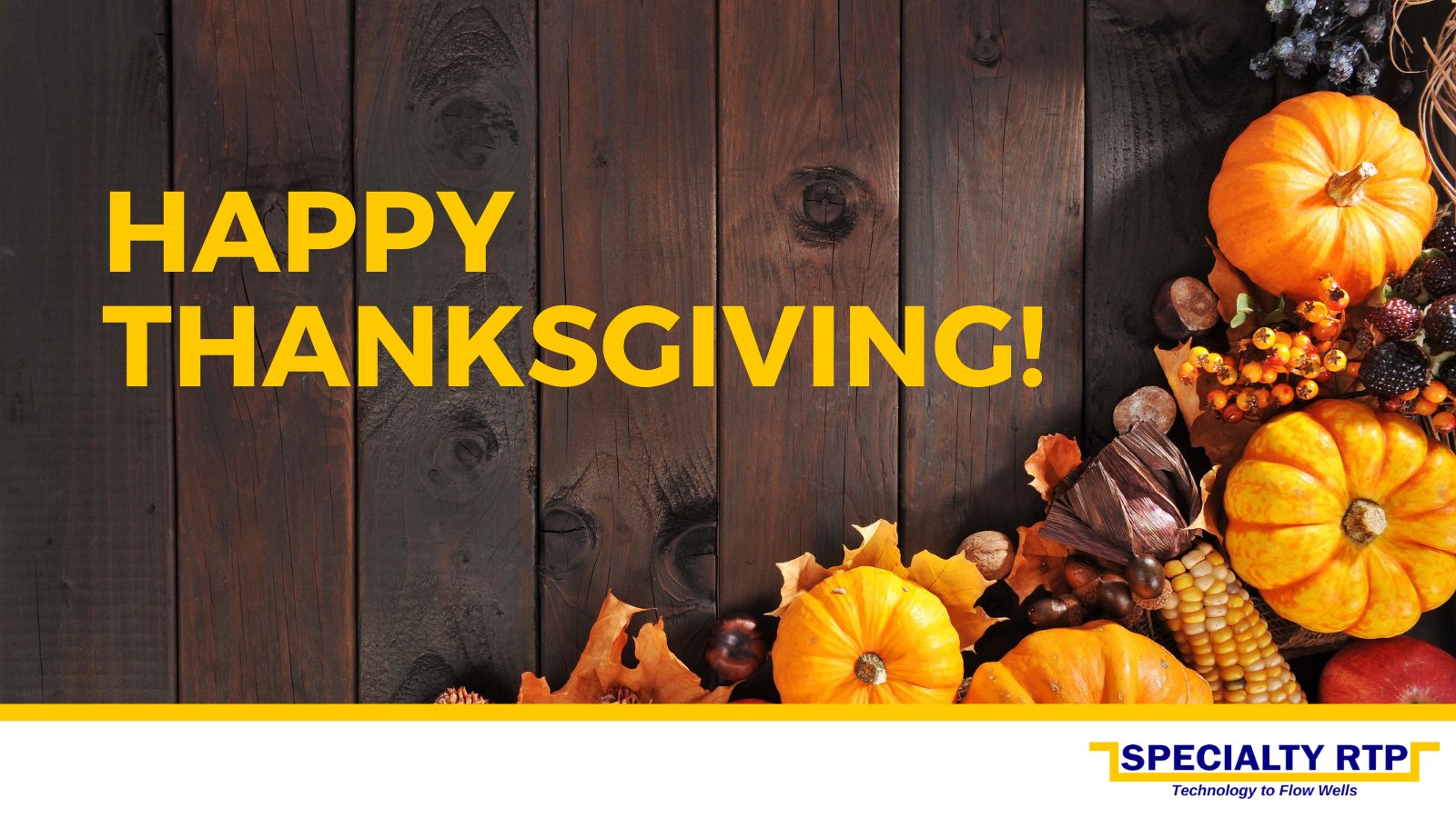 Thanksgiving Technology