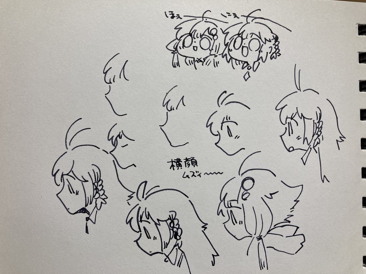 「横顔難しいの舞(おおよそ描き損じ) 」床の間Q C105 (月)西1 “の”17bの漫画