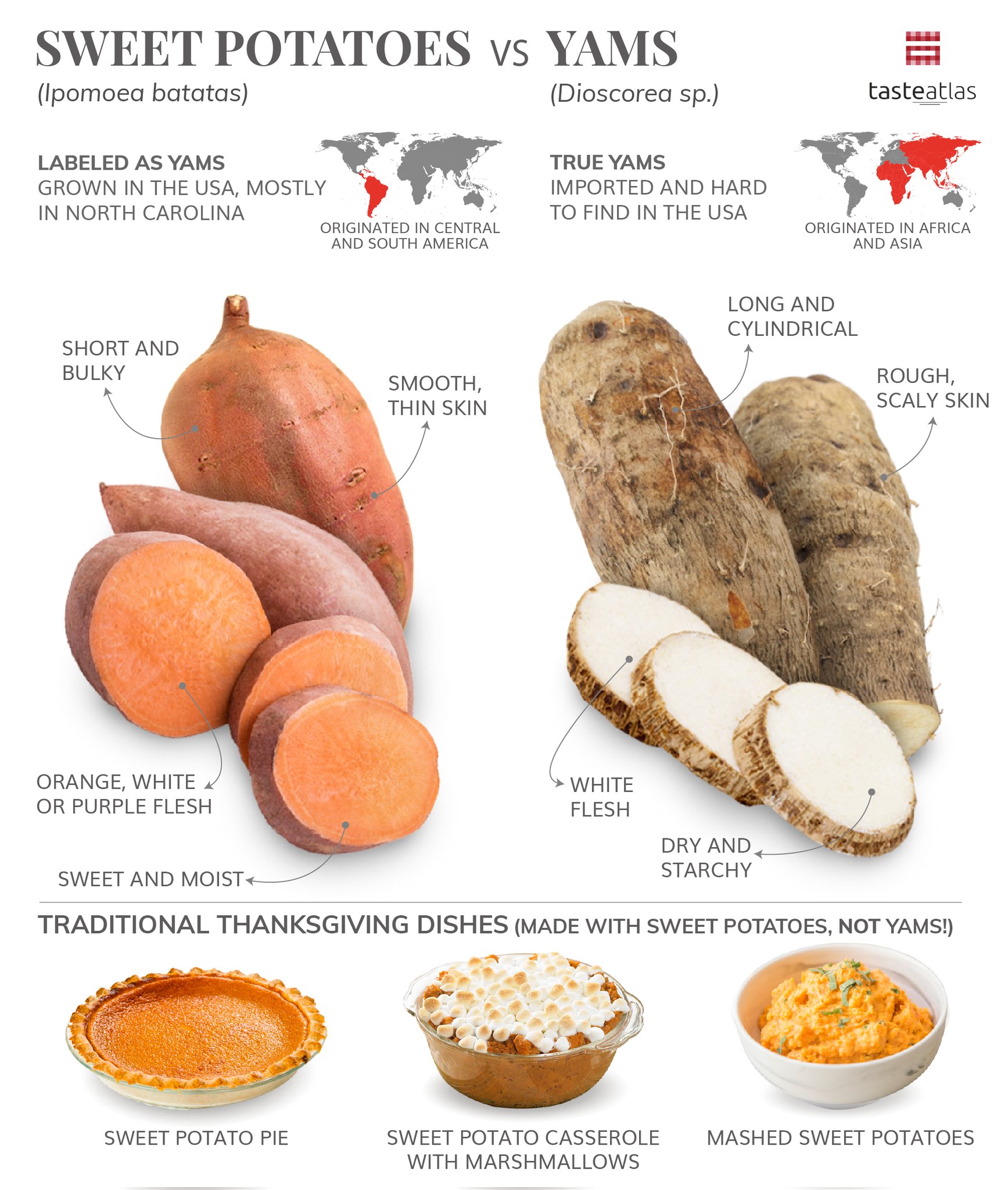 Sweet Potatoes Vs Yams