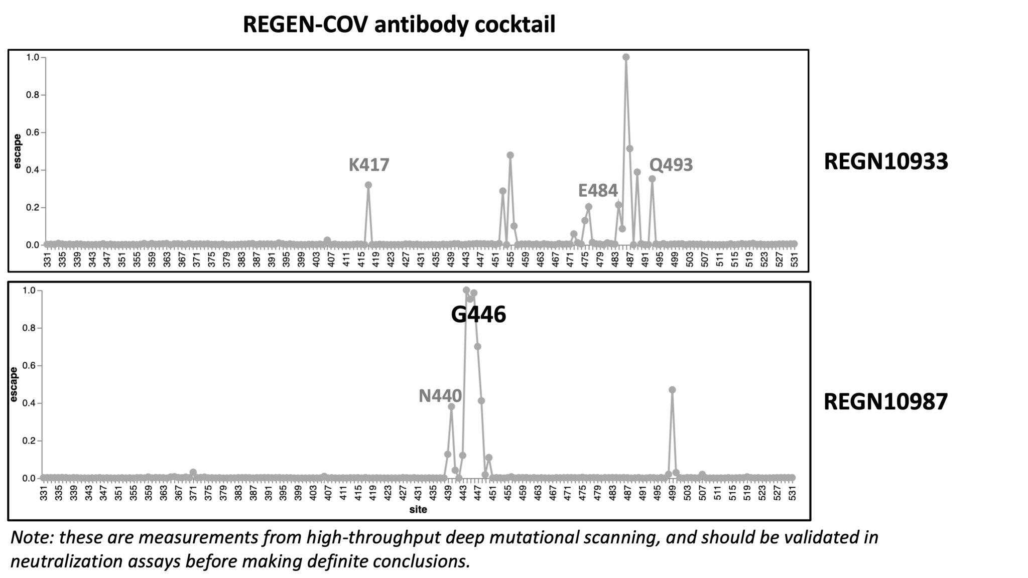 Bloom Lab on Twitter: "We can also look at some key monoclonal antibodies. the REGEN-COV ...