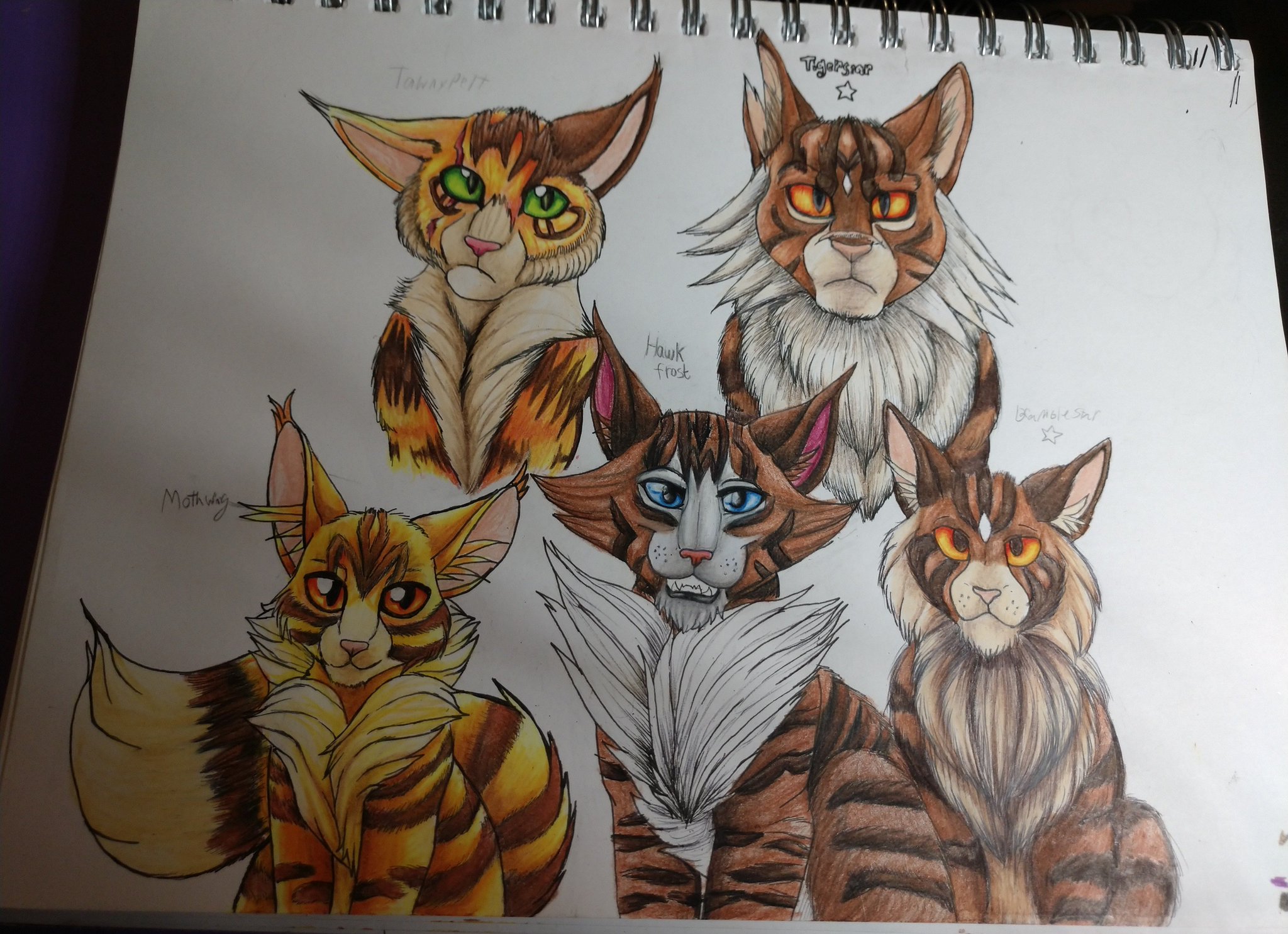 Tigerstar And Hawkfrost