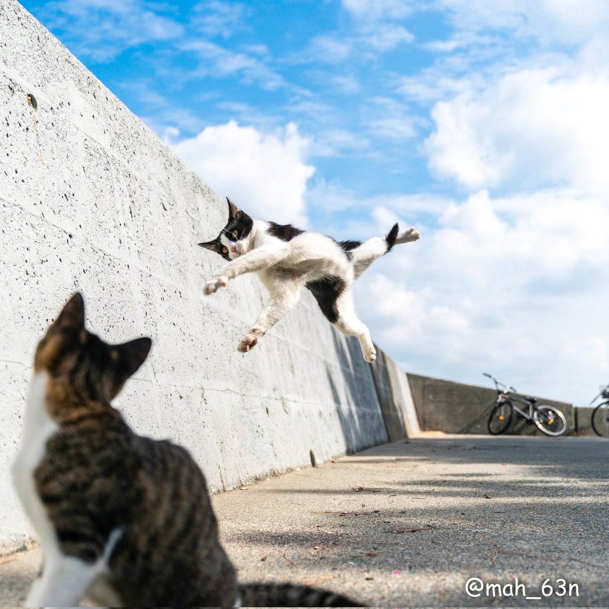 mah (@mah_63n) | Twitter