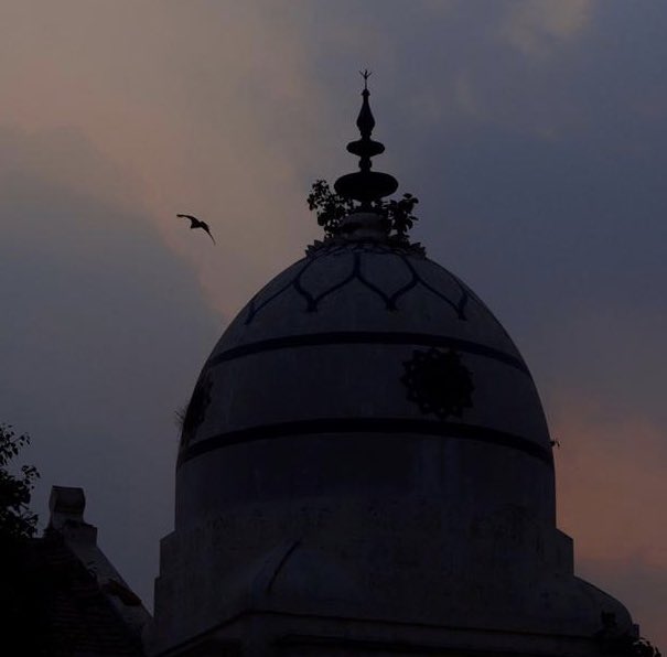 Midhat Fatima (@Midhat_Maken) | Twitter