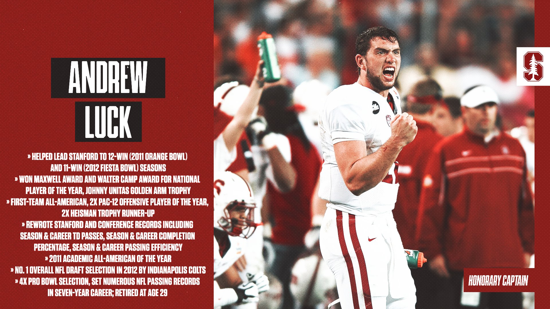 Andrew Luck Stanford