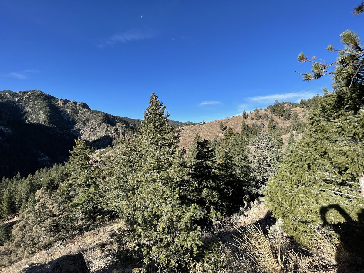 Meraj Khan (@meraj_a_khan) | Twitter