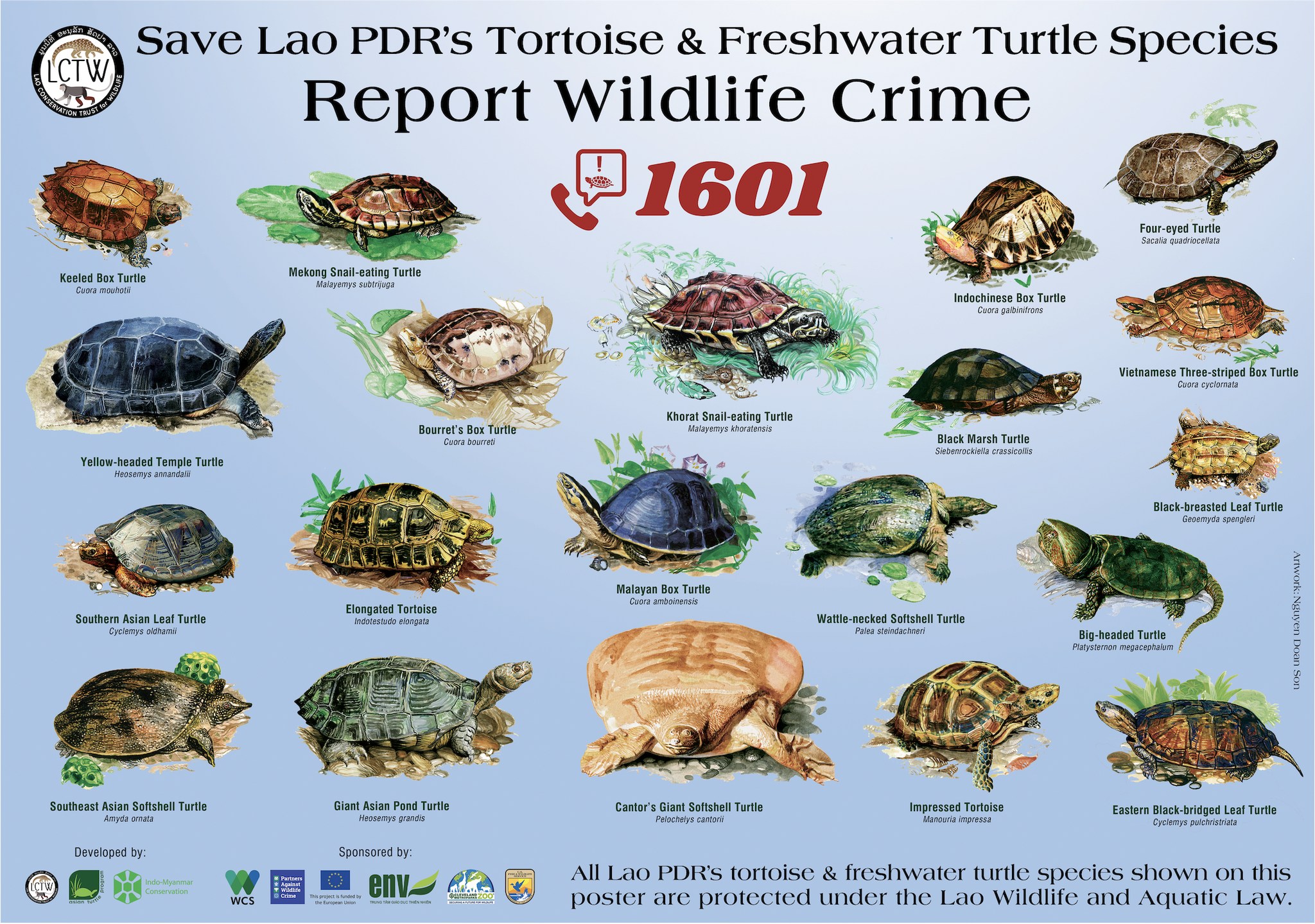Tortoise Facts, Types, Classification, Habitat, Lifespan, Diet ... Tortoise Facts, Types, Classification, Habitat, Lifespan, Diet ...