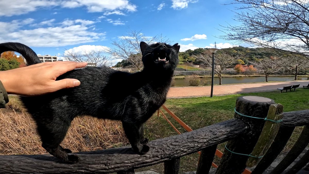 mah (@mah_63n) | Twitter