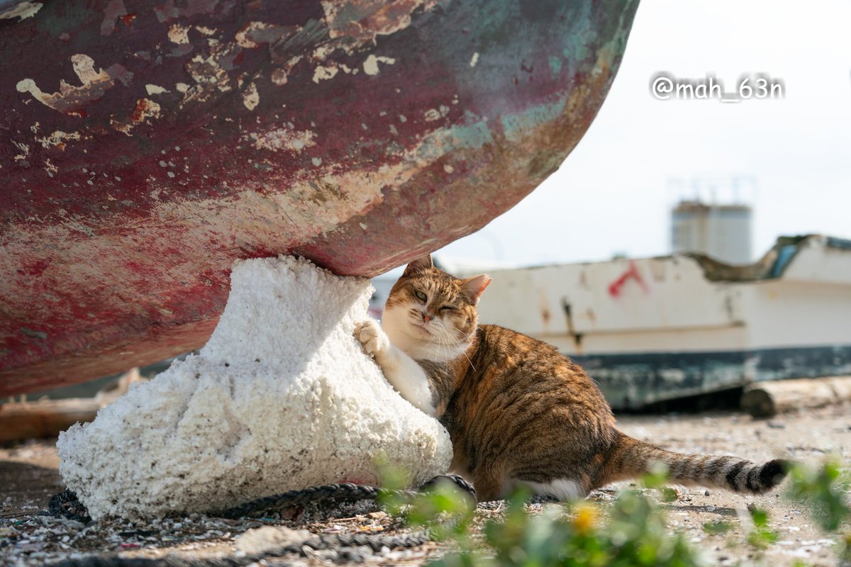 mah (@mah_63n) | Twitter