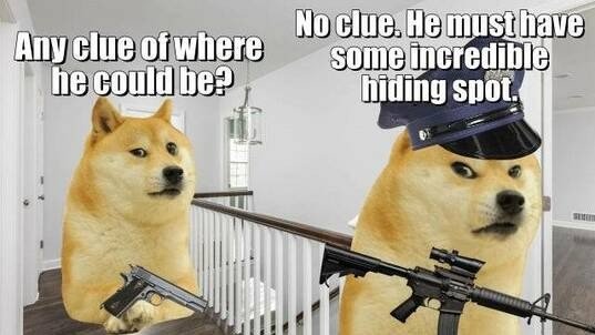 Lost Doge Meme