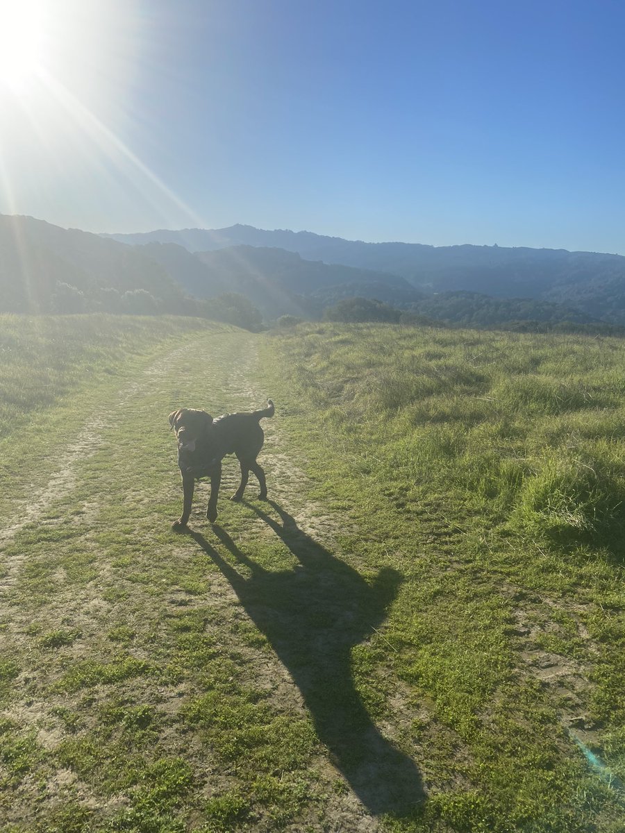 Maverick (@Mav_Lab) | Twitter