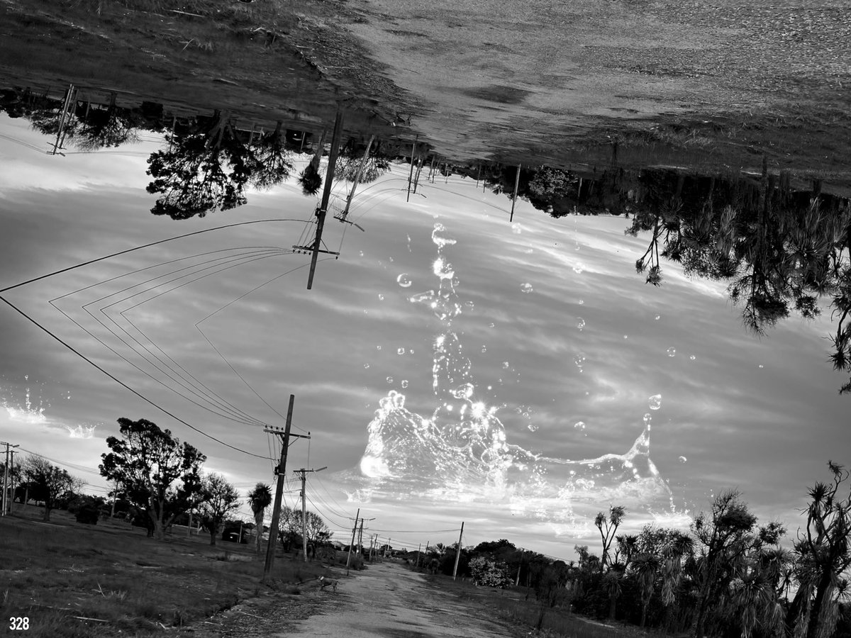 ᴢᴇʀᴏ ᴀʟᴘʜᴀ (@ZeroAlpha_NZ) | Twitter