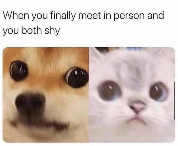 Awkward Meme