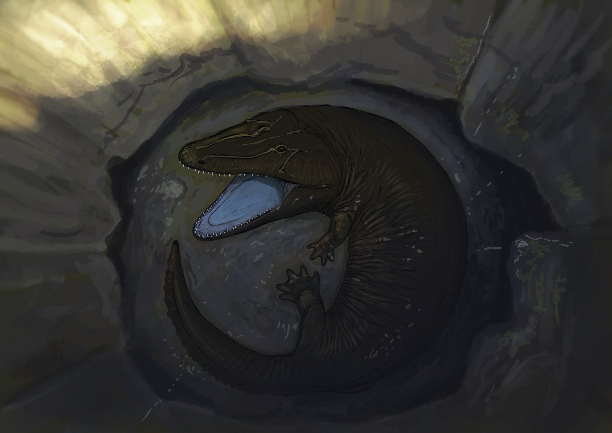 Joschua Knüppe on Twitter: "Results from the #paleostream! Quasicyclotosaurus, Yoshi ...