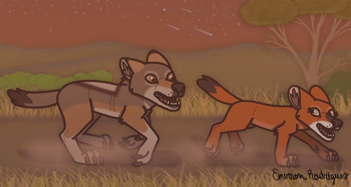 Dhole Vs Wolf