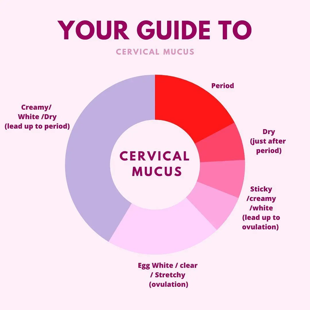Cervical Fluid Chart