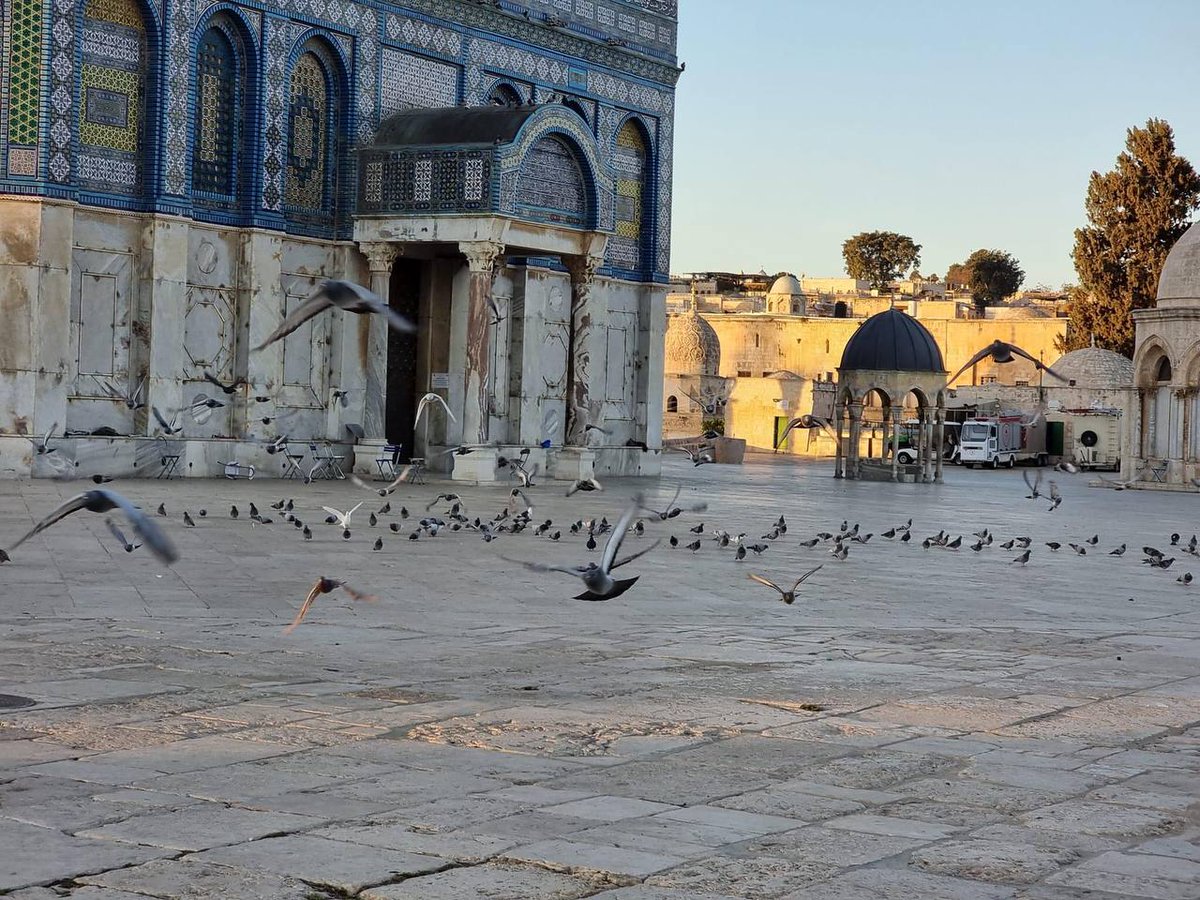 NOHA-SNIMA (@SnimaNoha) | Twitter