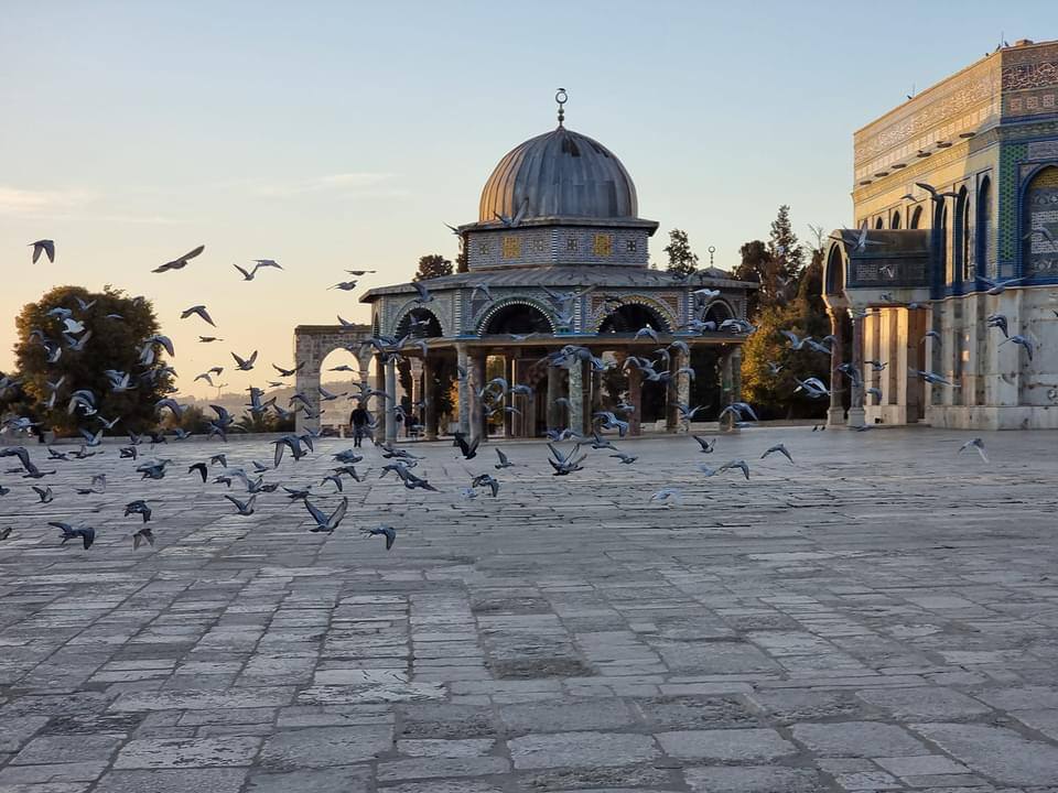 NOHA-SNIMA (@SnimaNoha) | Twitter