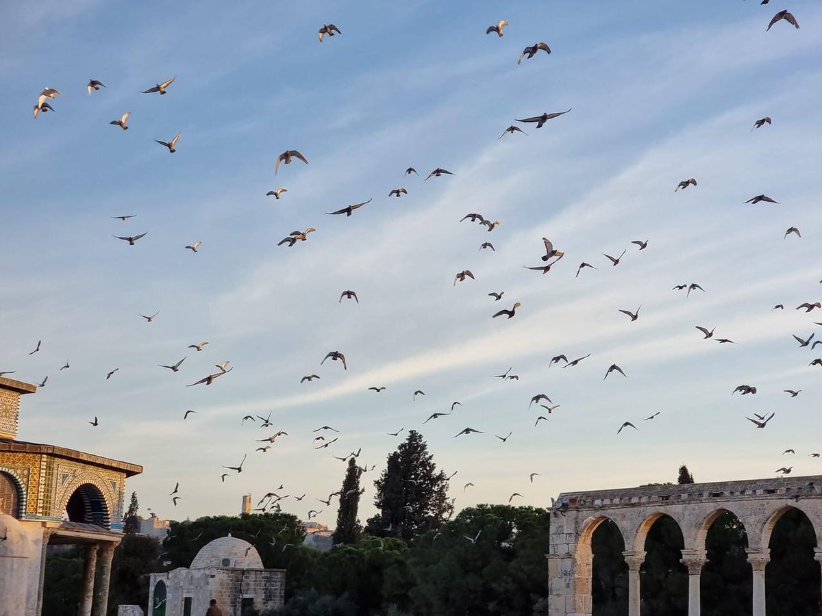 NOHA-SNIMA (@SnimaNoha) | Twitter