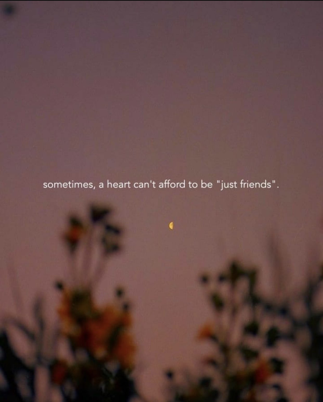 Just Friends Tumblr Quotes