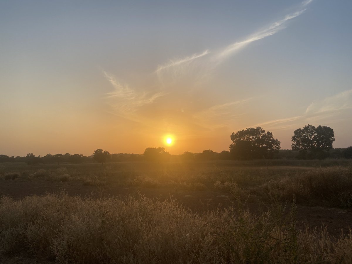 modou jallow (@modouj75) | Twitter