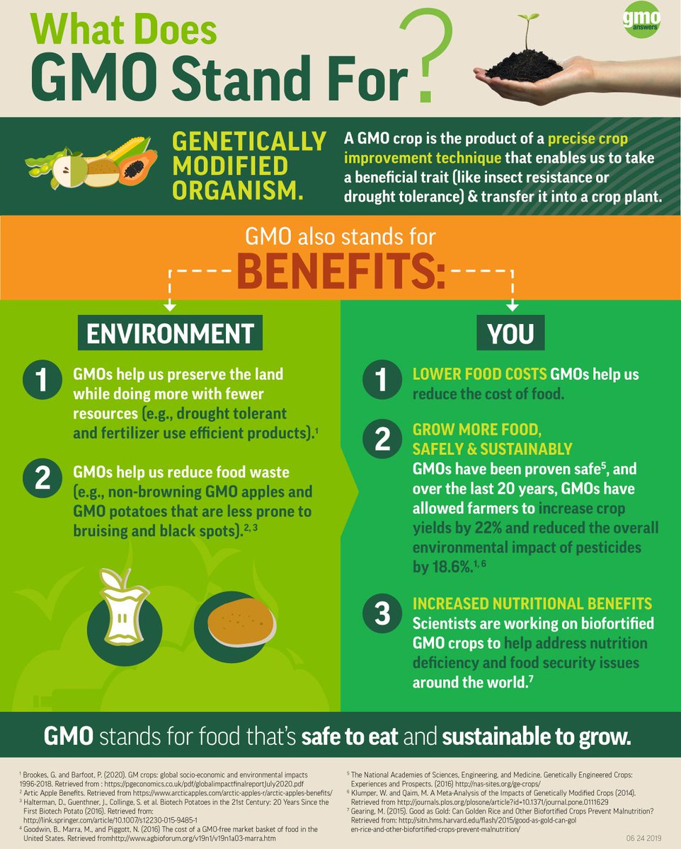 Gmo Articles