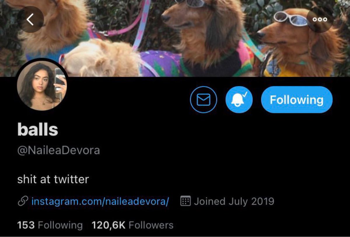 Nailea Devora Brasil (Fã-Clube) (@NaiDevoraBrasil) | Twitter