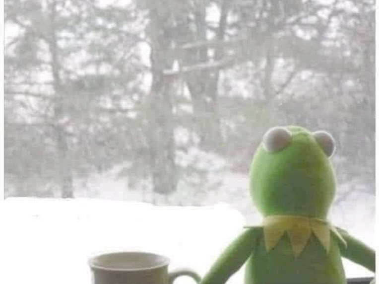 Kermit Looking Out The Window