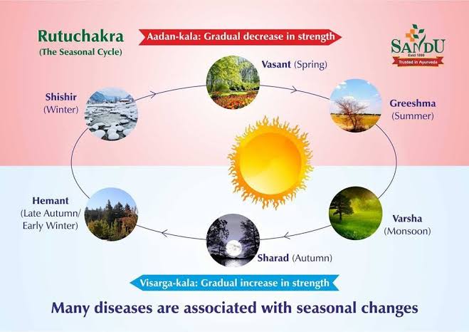 Rituacharya : Ayurvedic seasonal diet regime - Follow this thumbrule as ...