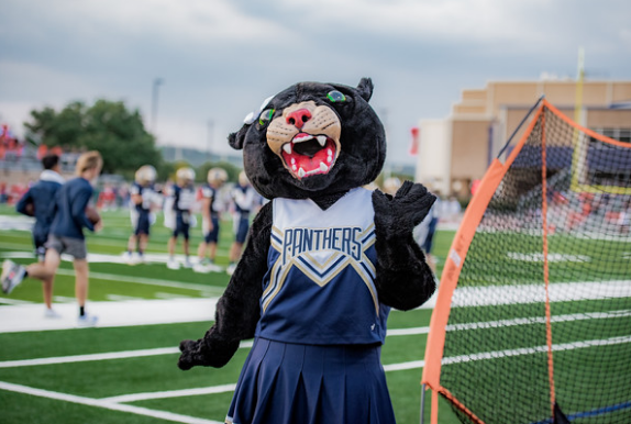 High School Mascots Panther