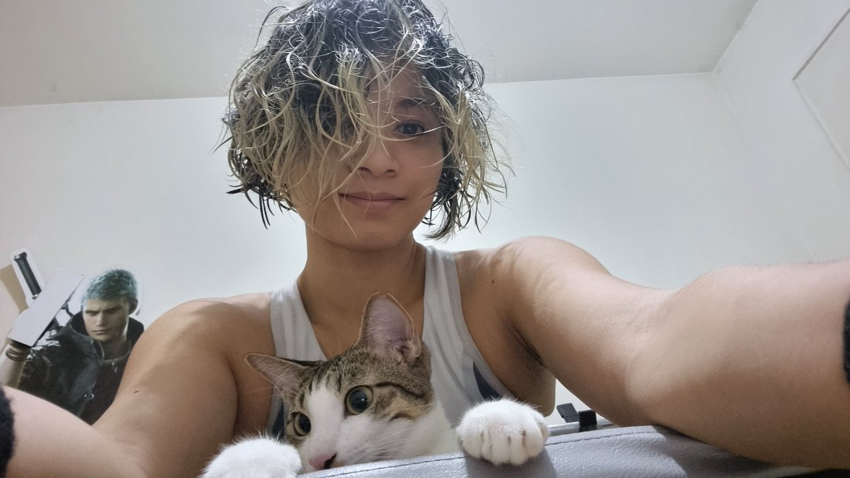 Hitsu (@Hitsu_up) | Twitter