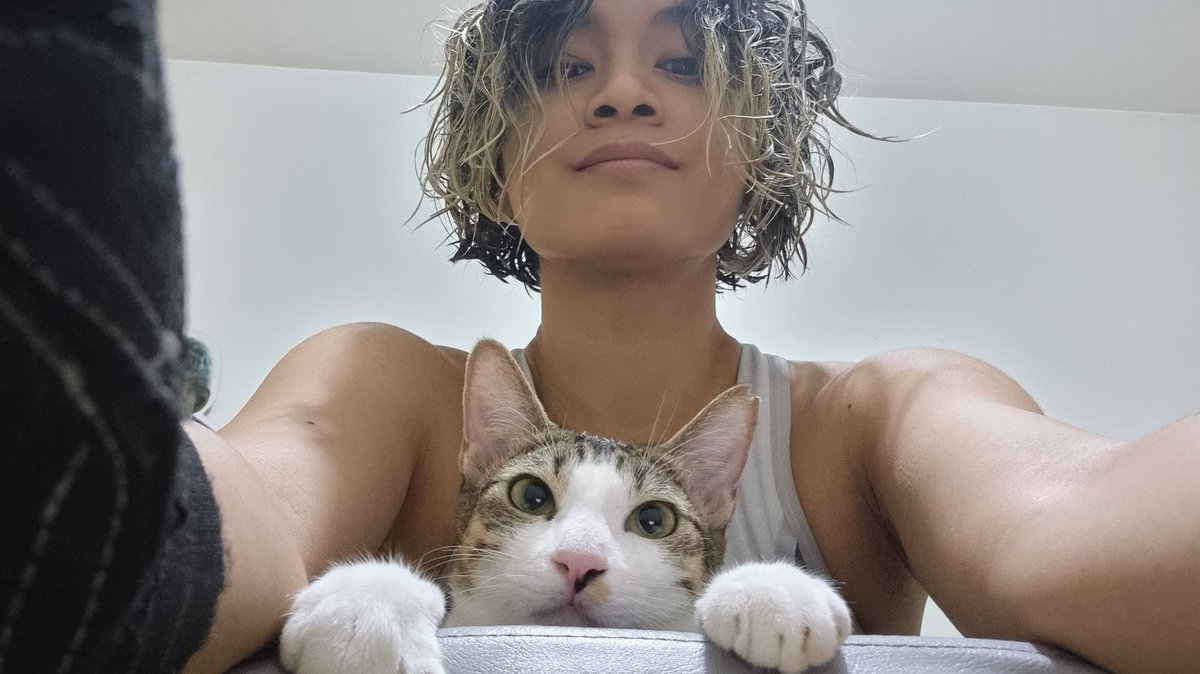 Hitsu (@Hitsu_up) | Twitter