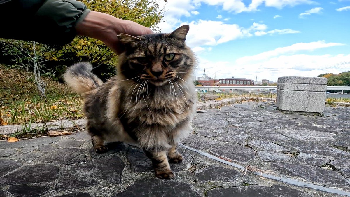 mah (@mah_63n) | Twitter