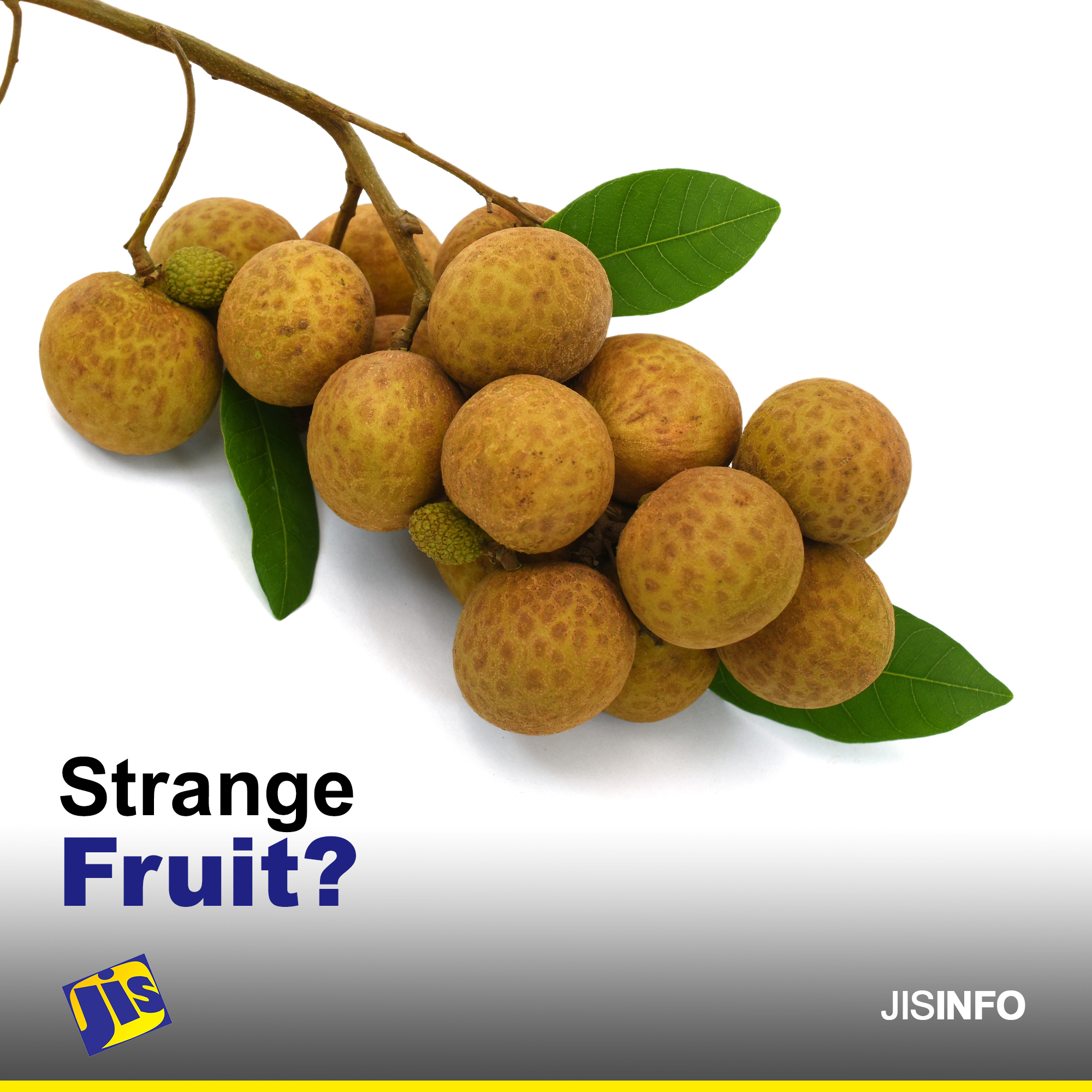 Fruits That Look Like Lychee