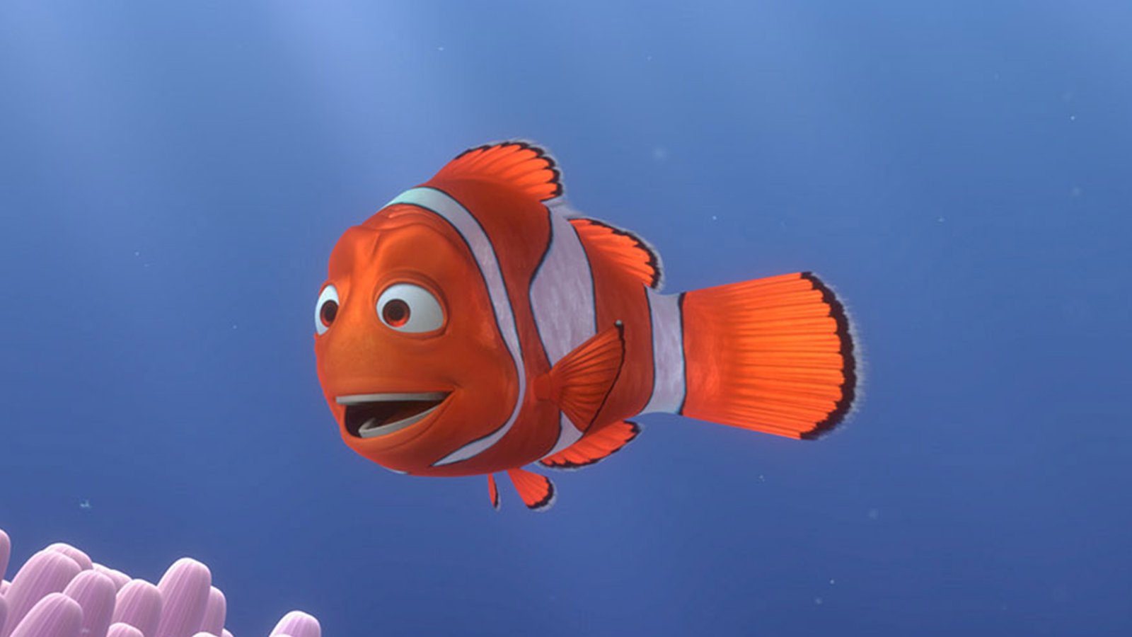 Marlin Finding Nemo Scared