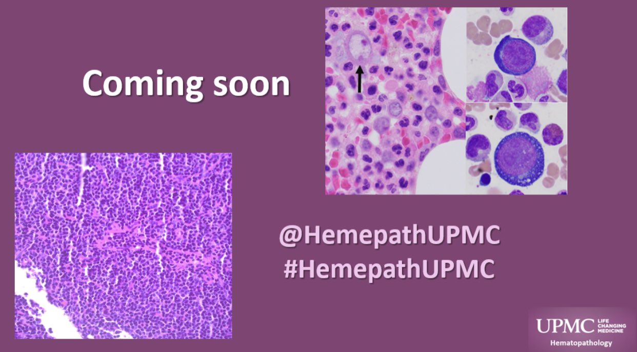 HemepathUPMC on Twitter: "Exciting news! Our division #HemepathUPMC now has a Twitter account 👏🥳 ...