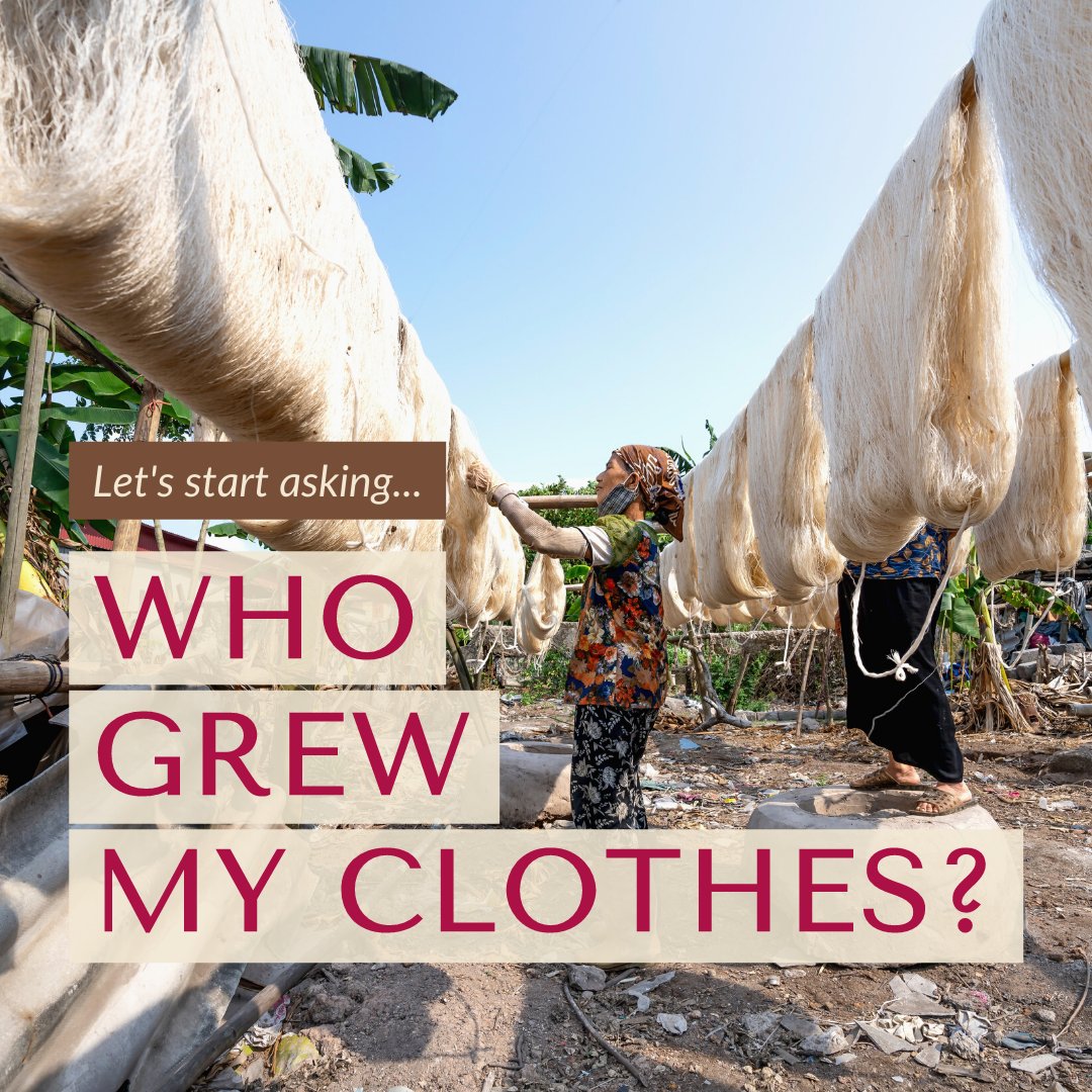 Panublix (@panublix) | Twitter