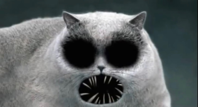 The Marvelous Misadventures Of Flapjack Creepy