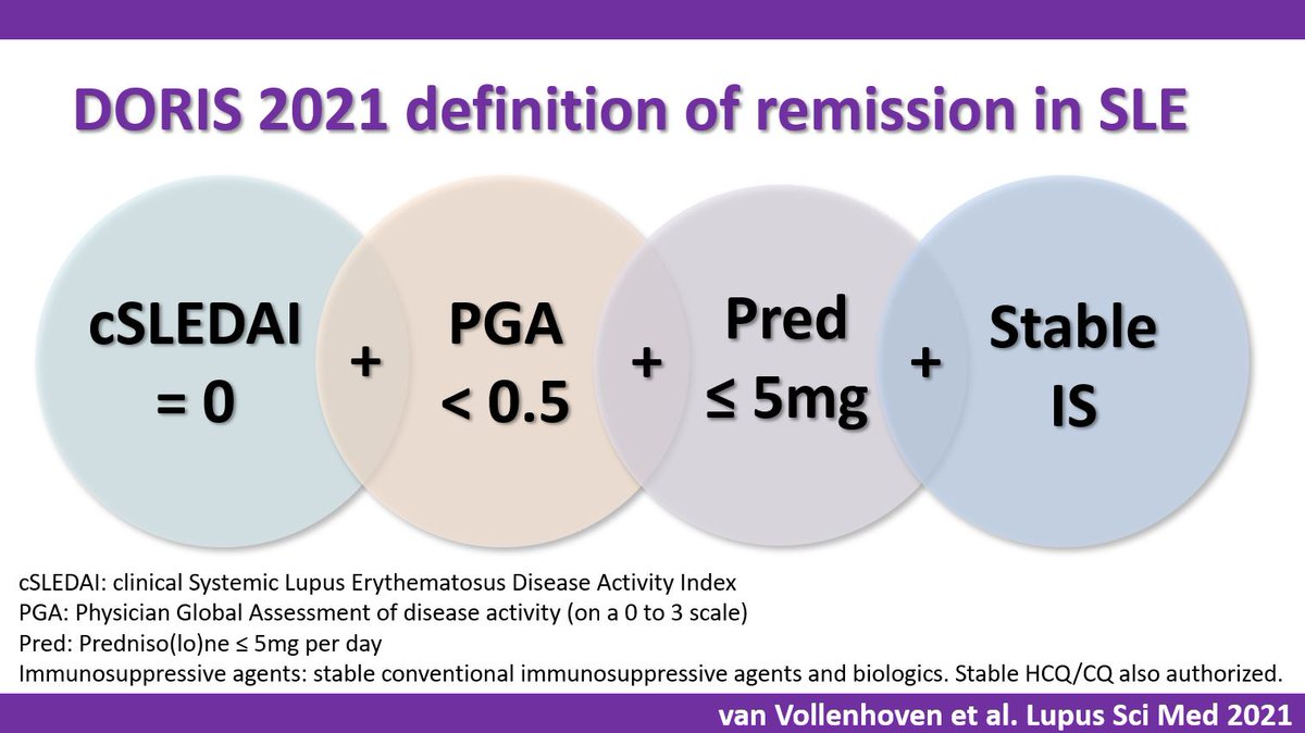 LUPUS EUROPE Patient Panel on Treatment - A great success - Lupus Europe