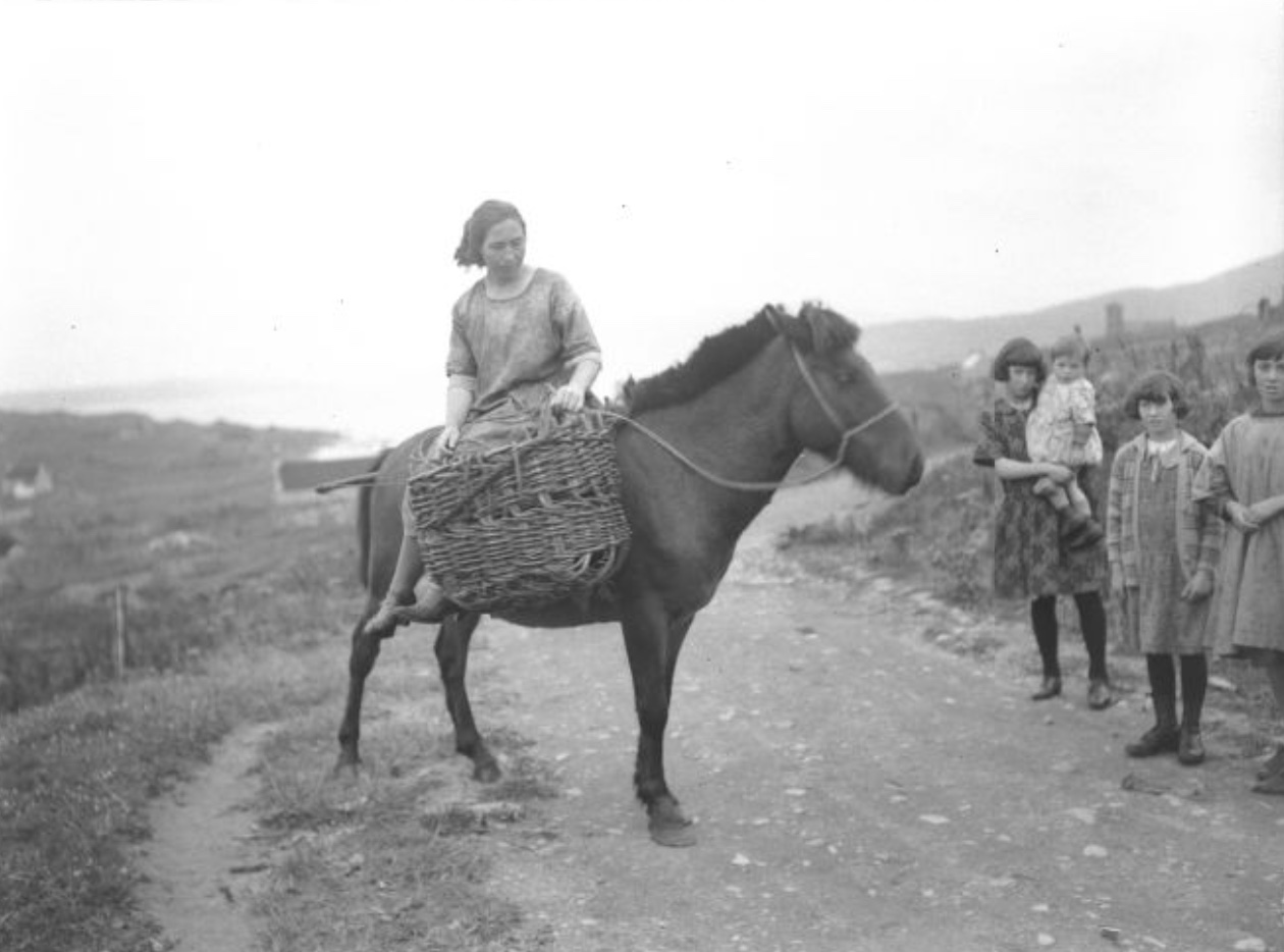 Barra Pony Barra Powered 1967 Chevrolet Camaro SS